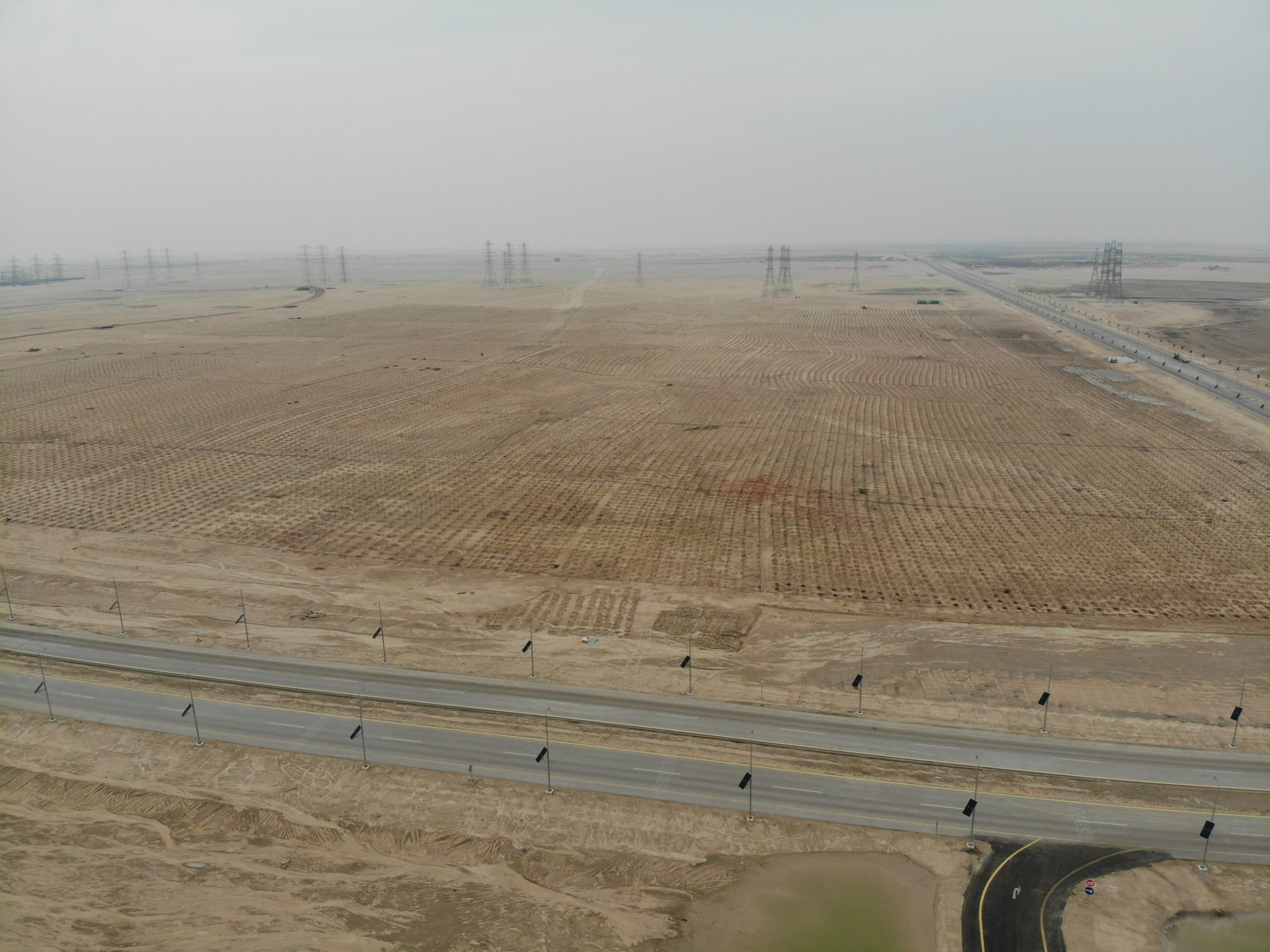 Projects | Netzero's Impact Restoring Ecosystems