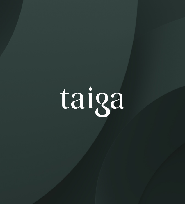 Pixel Ramen | Taiga Therapy