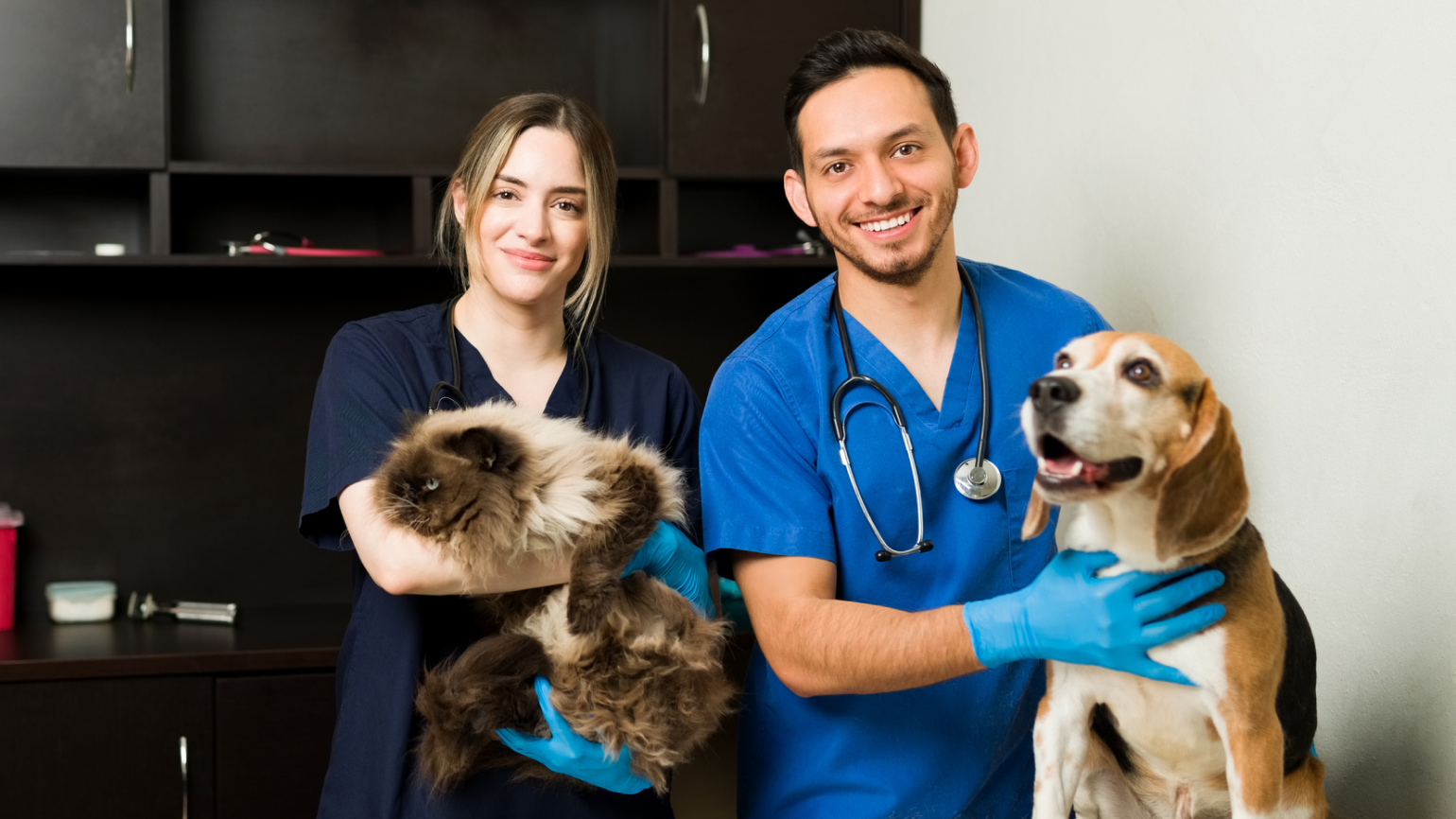 Is my Employee Referral Program working?