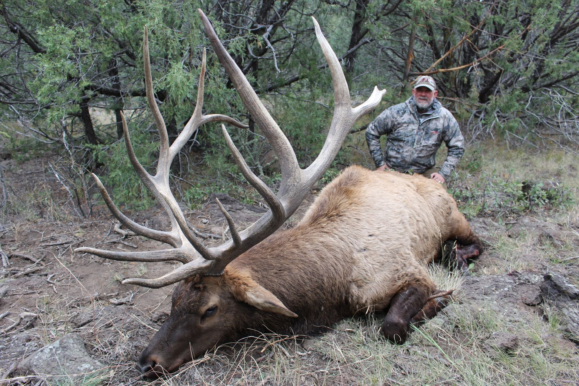 Platinum Gallery Page