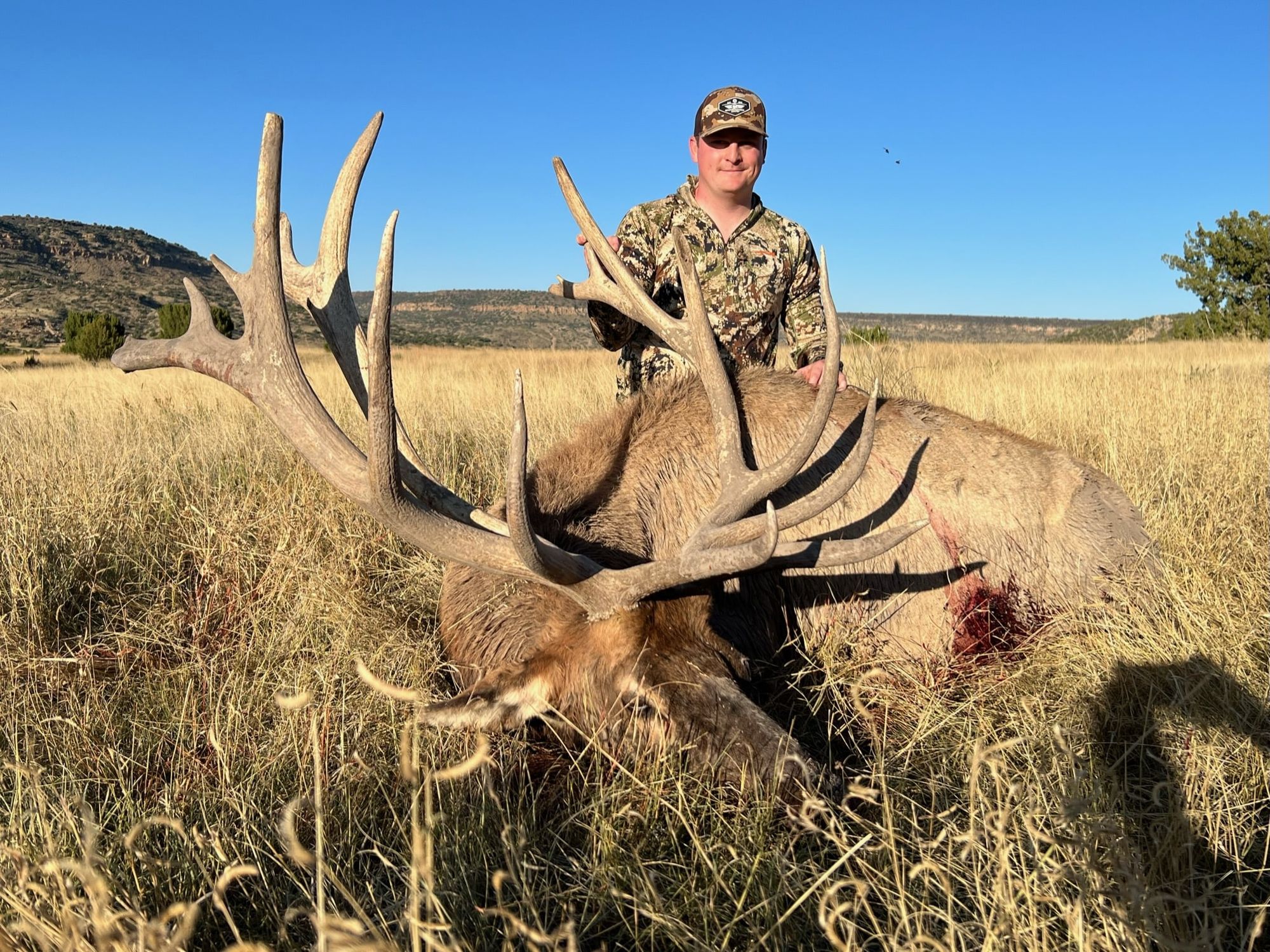 Platinum Gallery Page