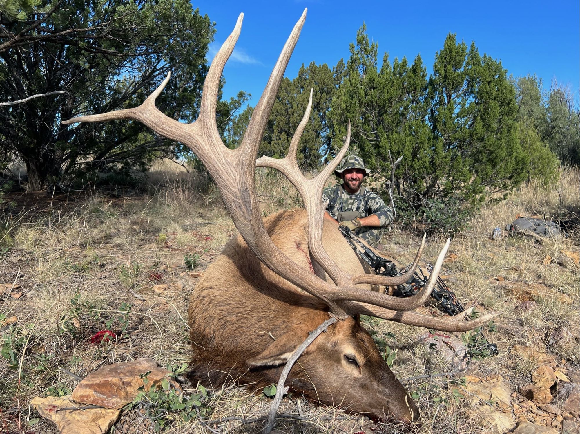 Platinum Gallery Page