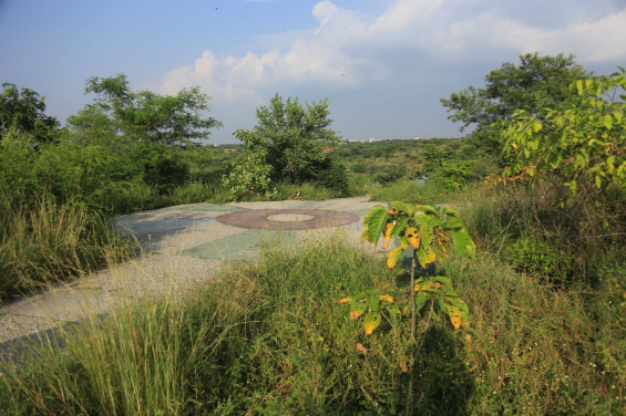 Aravalli Biodiversity Park