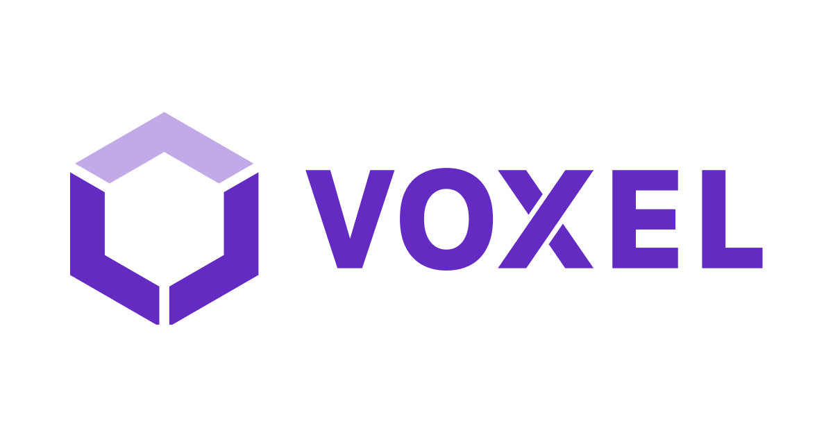 Voxel - Case Studies