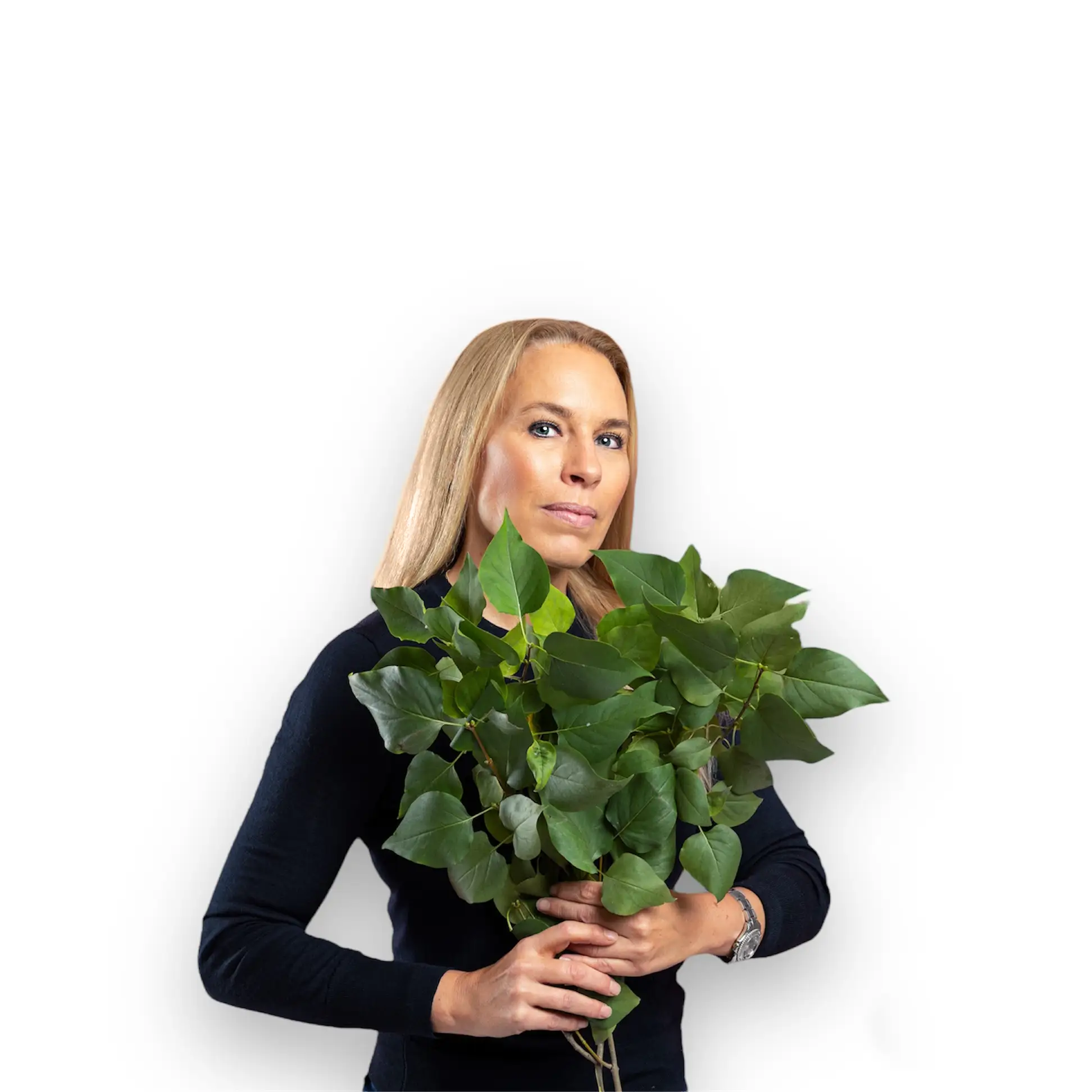 Meet the Sting team | entrepreneurs united in action.