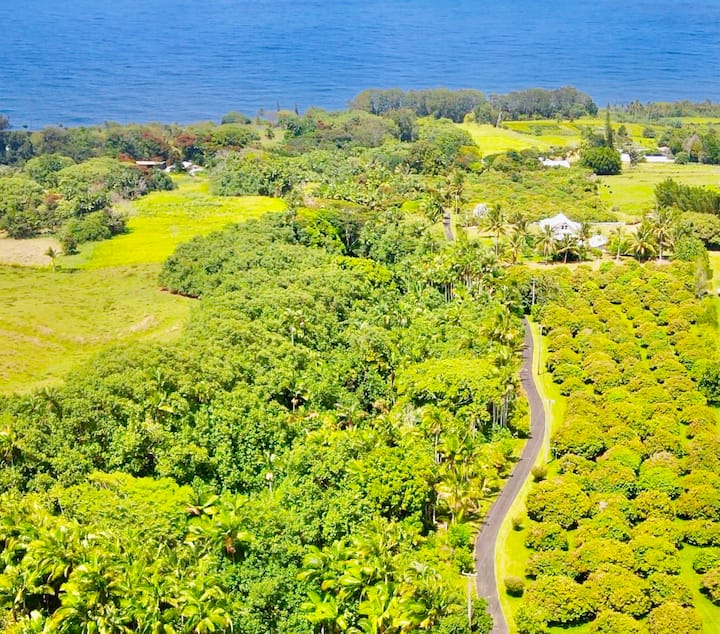 Home | Hawaii Wellness Retreat |. Big Island, Hawaii | Retreat Space