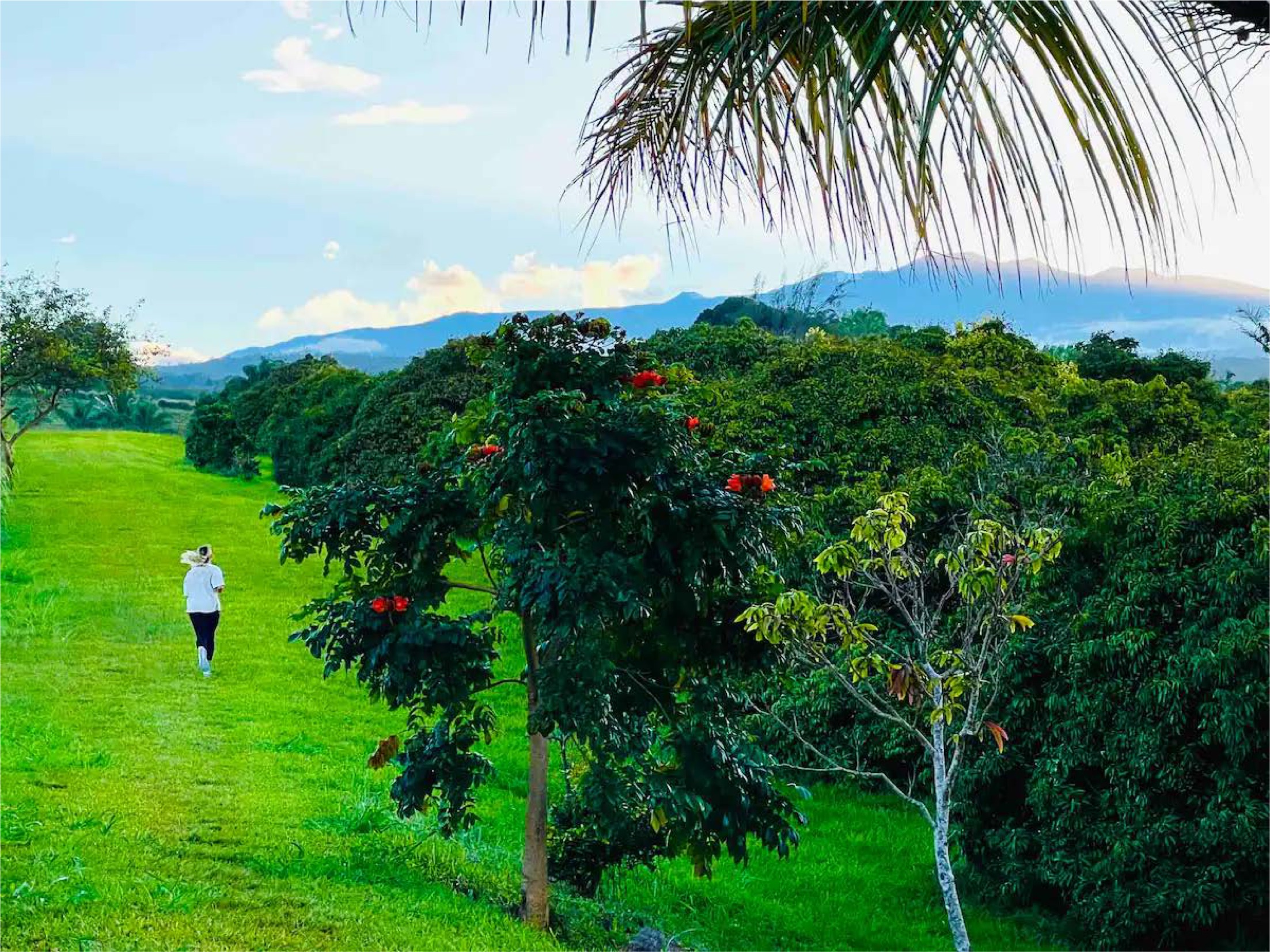 Home | Hawaii Wellness Retreat |. Big Island, Hawaii | Retreat Space