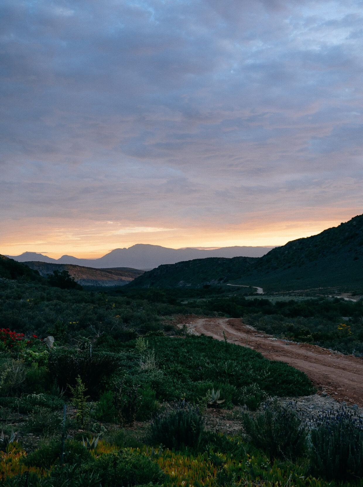 Karoo Bioscience Location