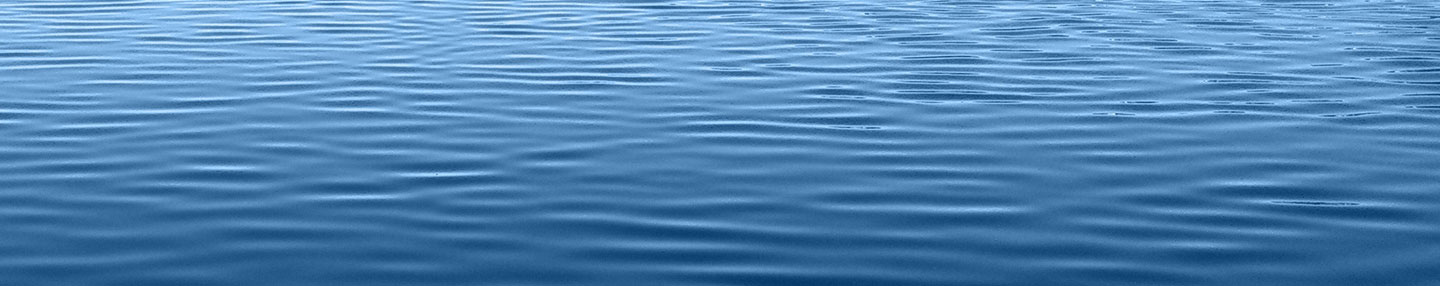 Water Efficiency Labelling and Standards (WELS) | Standards Australia