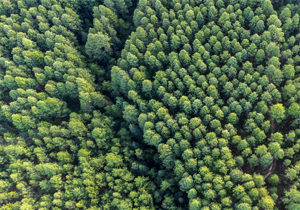 10 important Australian Standards keeping our nation safe and ...