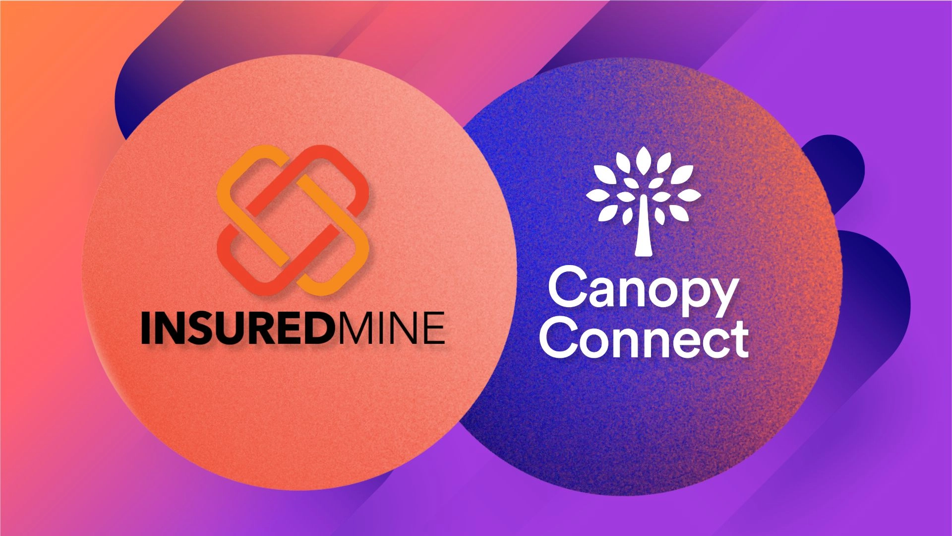 Canopy Connect's Integration with InsuredMine | Canopy Connect Blog