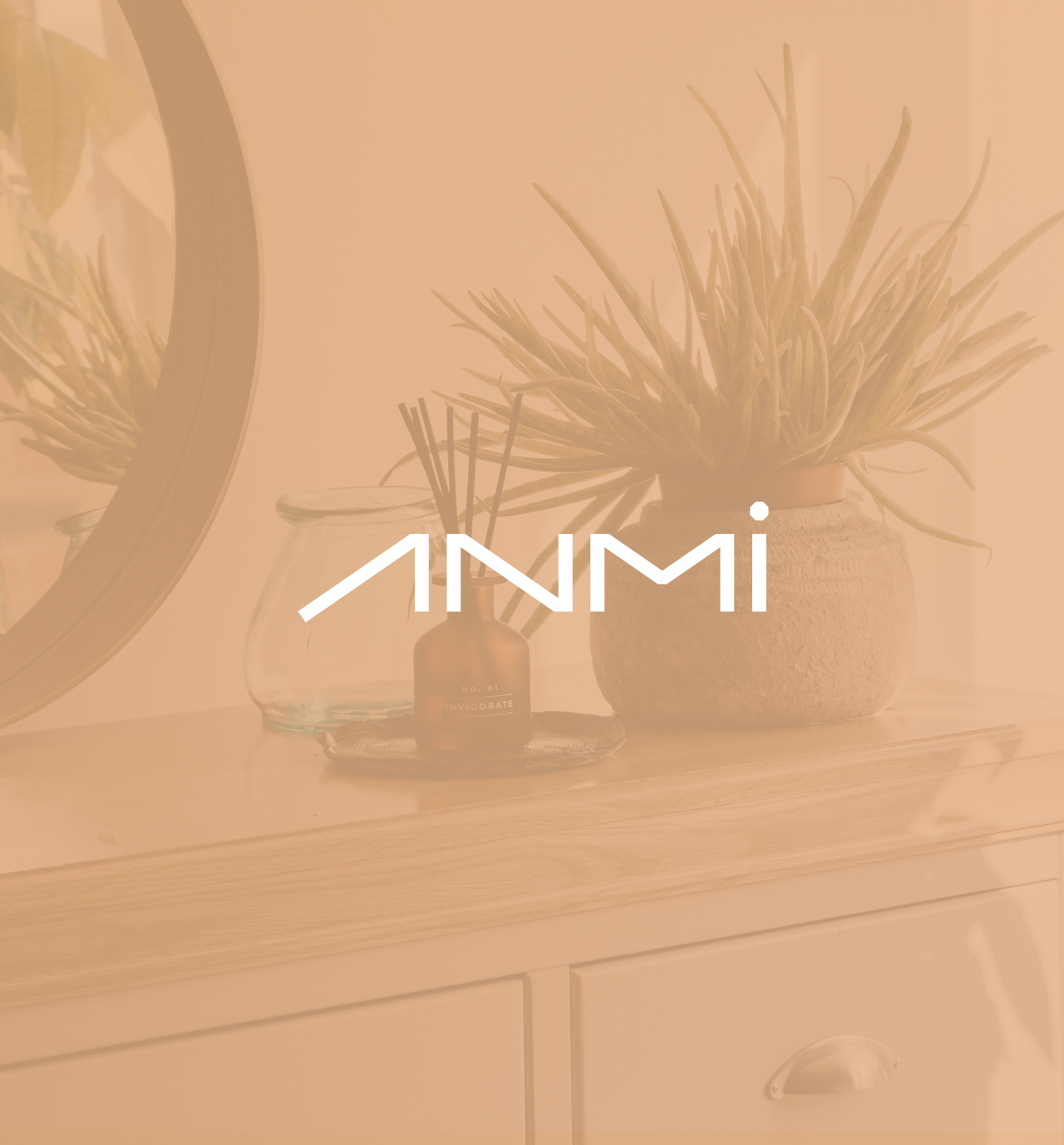 ANMI Brand Identity