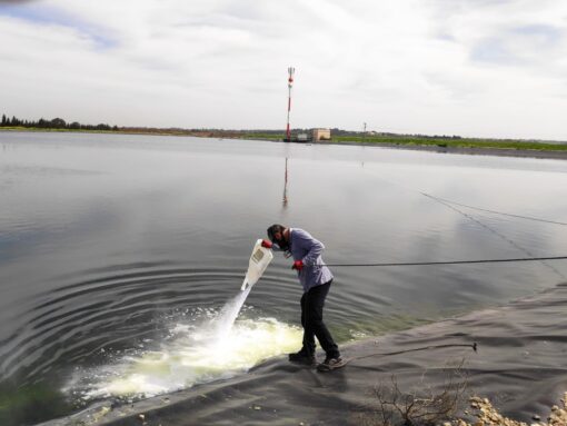 BlueGreen Water Technologies