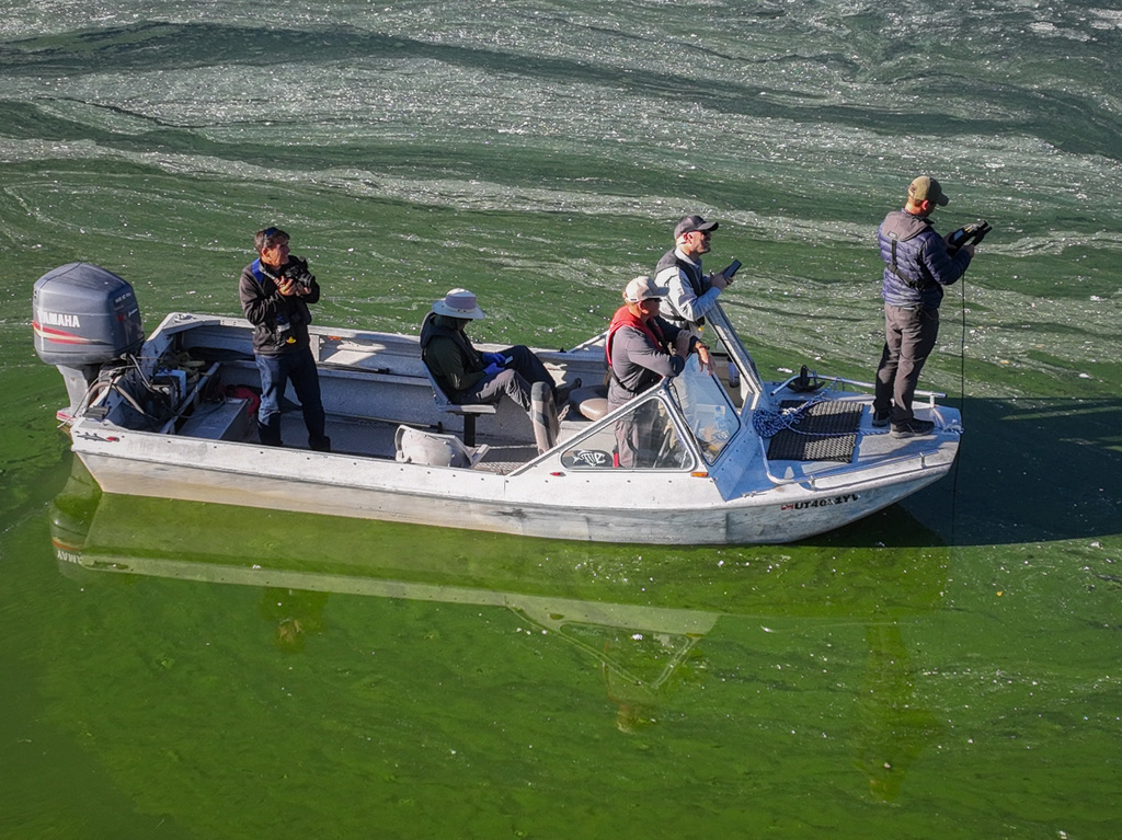 BlueGreen Water Technologies
