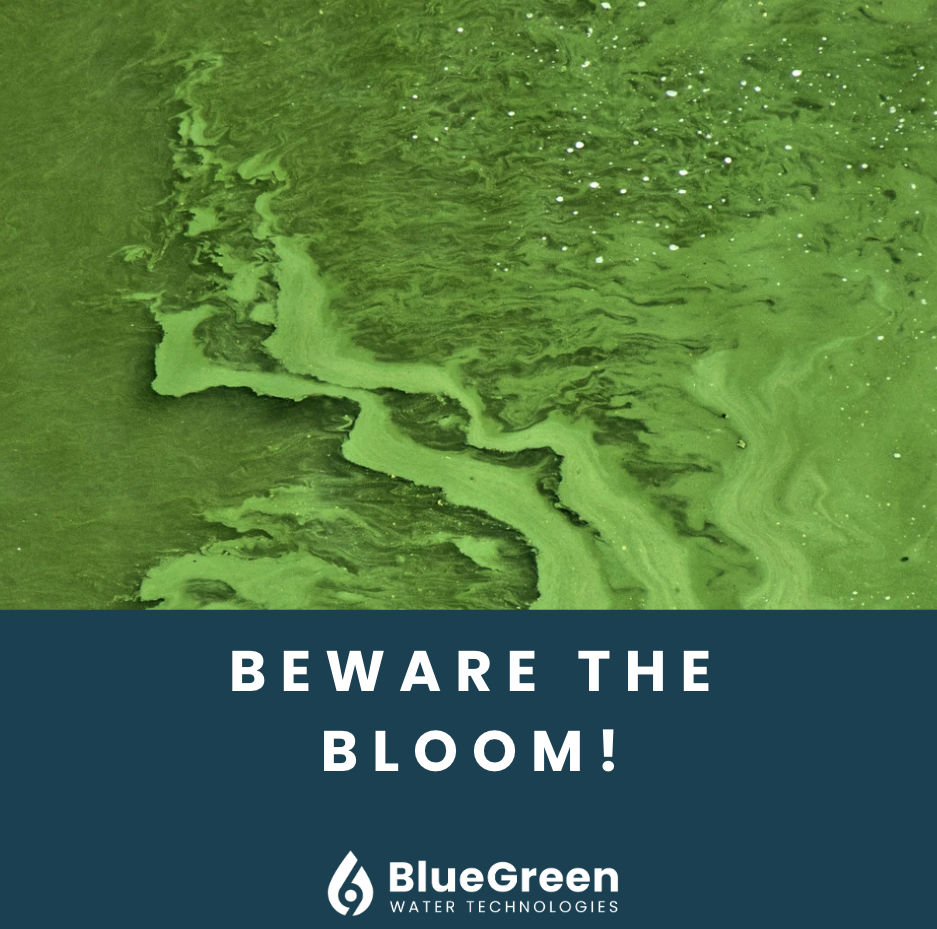 BlueGreen Water Technologies