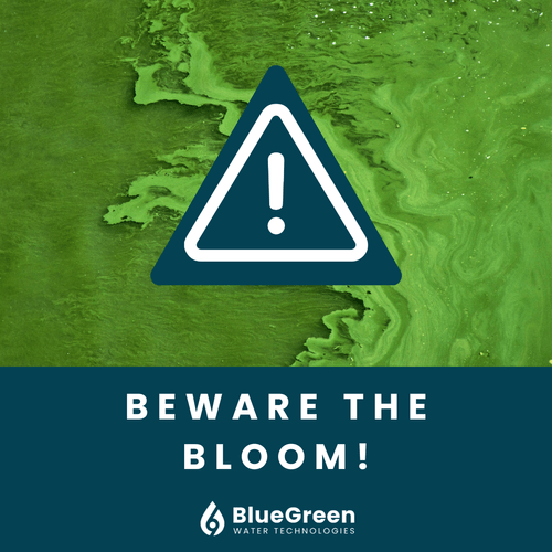 BlueGreen Water Technologies