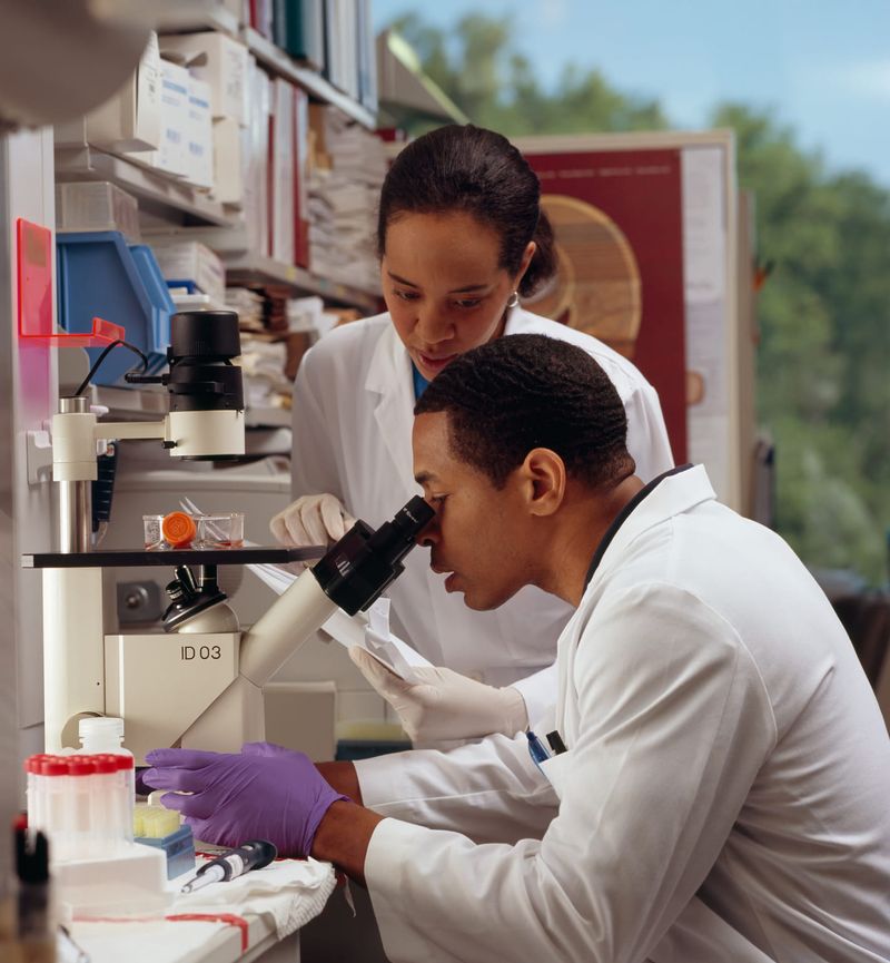 Janssen Pharmaceutica | TalentLogiQs