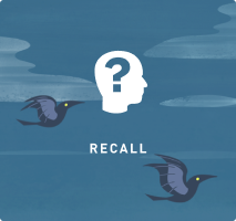 Improve Vocabulary Skills App with Vocab Games - Elevate