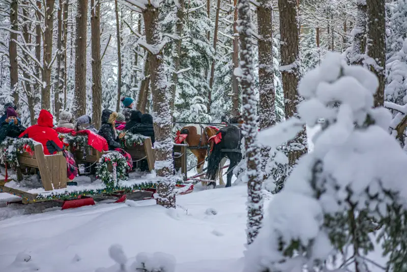 Lantern-lit Adirondack Sleigh Rides | Experiences | Hohmeyer's Lake ...
