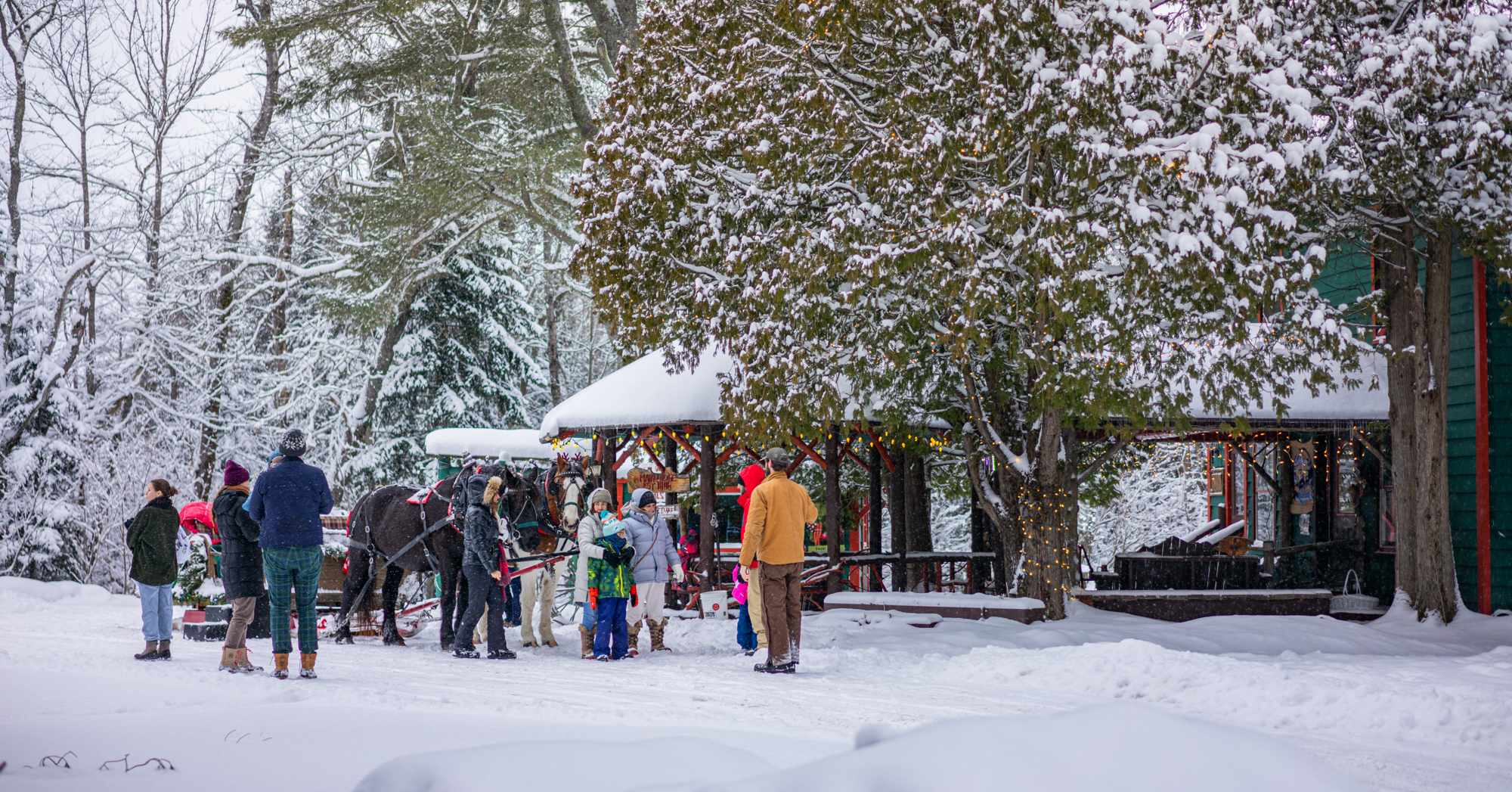Lantern-lit Adirondack Sleigh Rides | Experiences | Hohmeyer's Lake ...