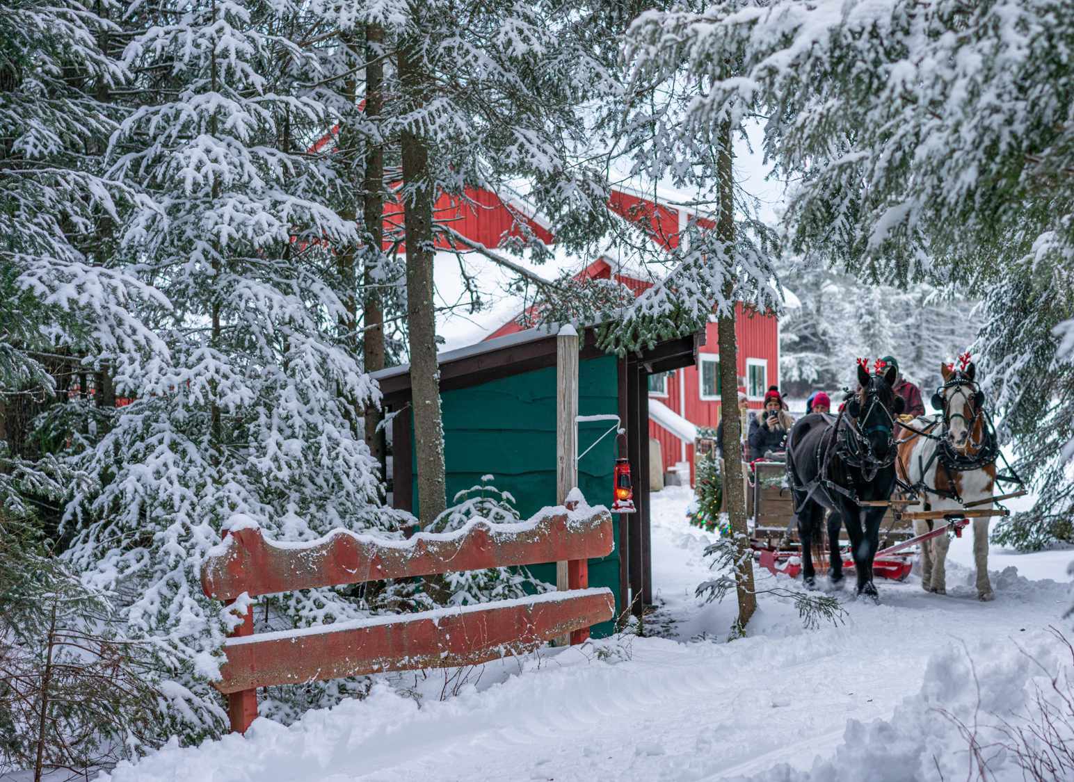 Lantern-lit Adirondack Sleigh Rides | Experiences | Hohmeyer's Lake ...