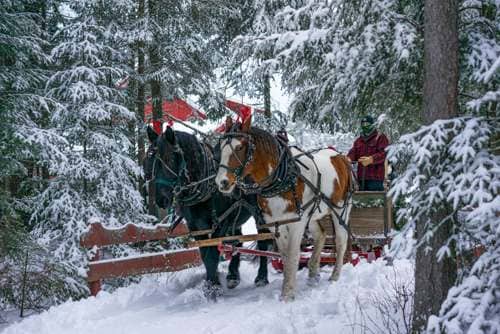 Hohmeyer's Lake Clear Lodge & Resort in the Adirondacks, NY | Official Site
