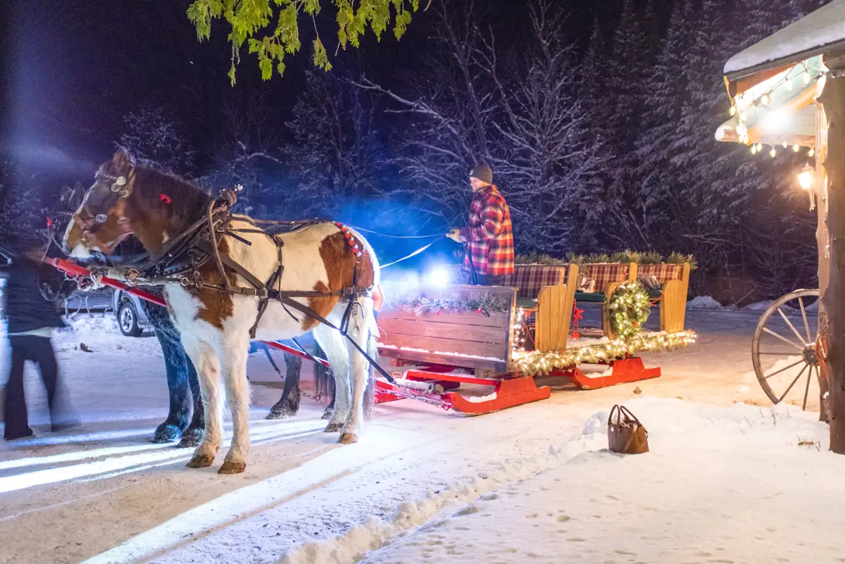 Lantern-lit Adirondack Sleigh Rides | Experiences | Hohmeyer's Lake ...