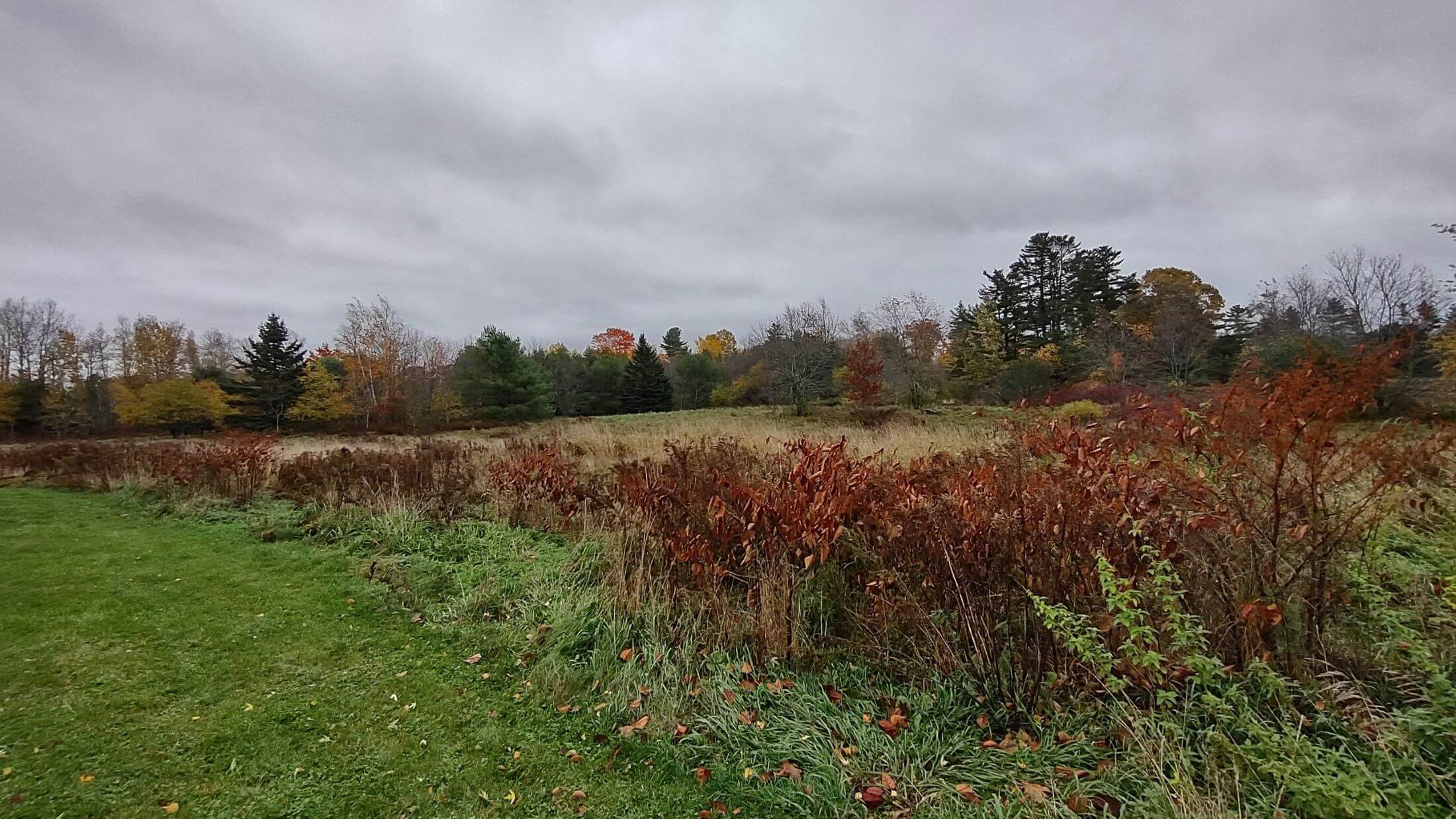 Welcoming Patterson Farm (& its next generation of farmers) as a ...