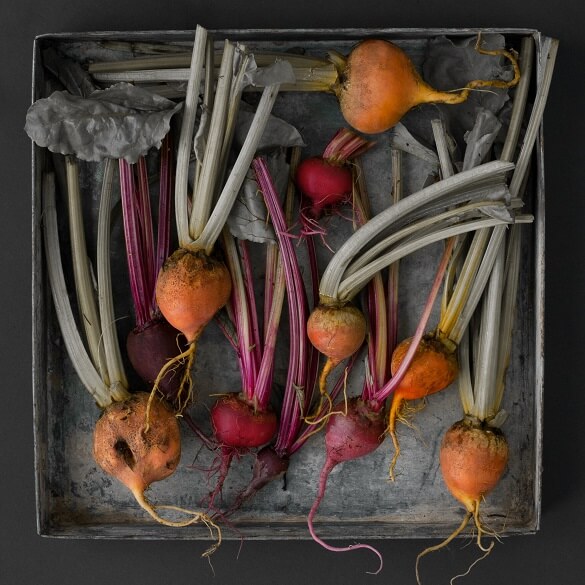 New Photographs by Lynn Karlin, Marquetry by James Macdonald at MFT Gallery