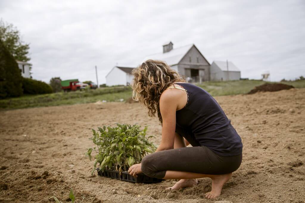 Meet Your Farmers: High Hopes Farm