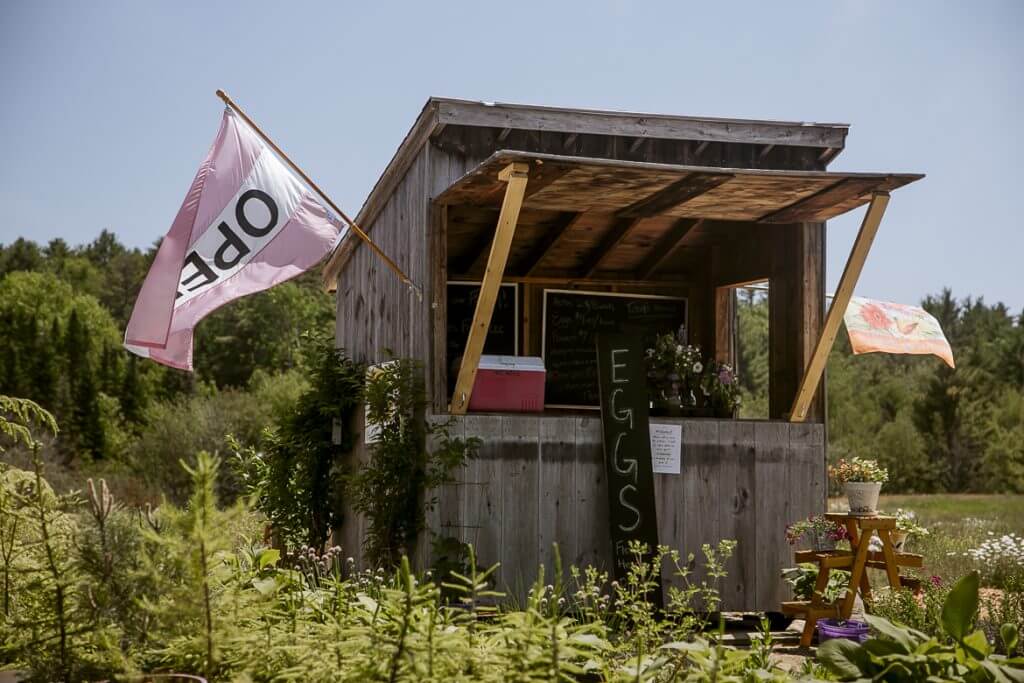 Meet Your Farmers: High Hopes Farm