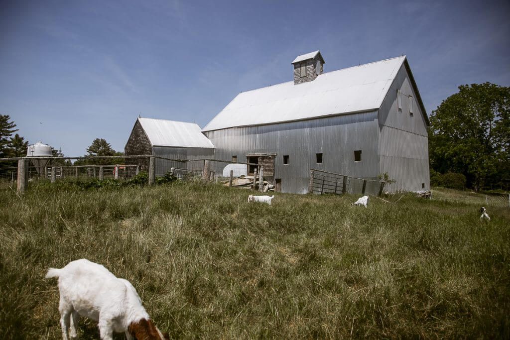 Meet Your Farmers: High Hopes Farm