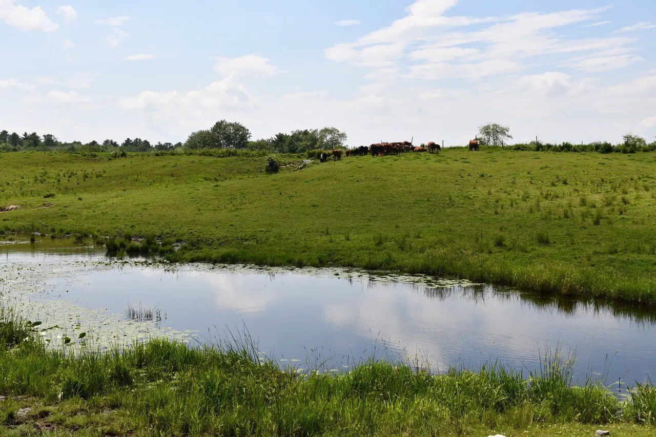 Action Alert: Support Siting Renewable Energy Development on PFAS ...