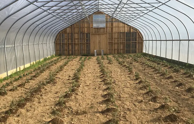 Announcing MFT’s 2023 Implementation Grantees