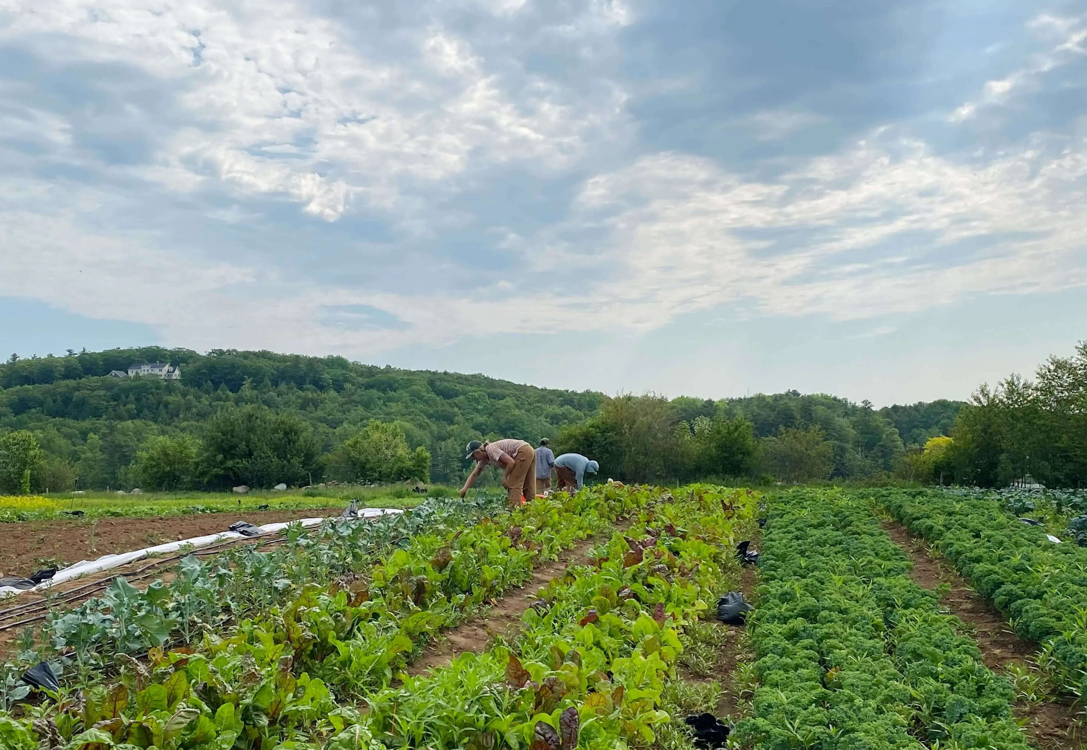 MFT’s 2023 State Legislative Session Report