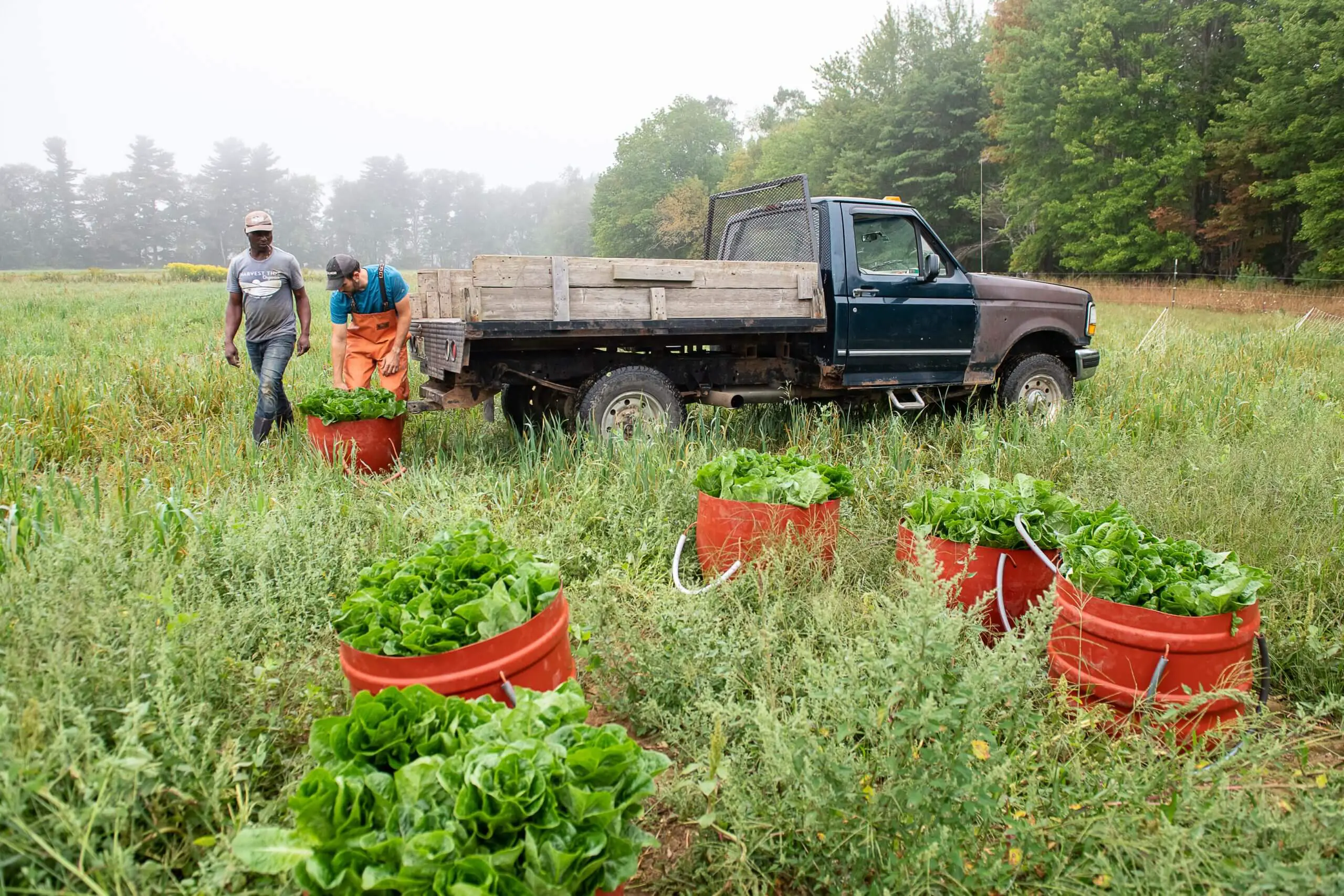 Maine Farmland Trust’s 2023 State Policy Priorities