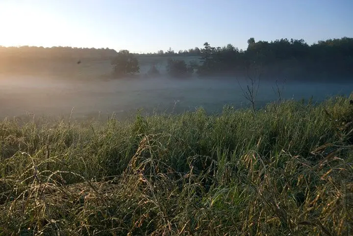 Action Alert: PFAS, Protecting Farmland, and Tribal Sovereignty
