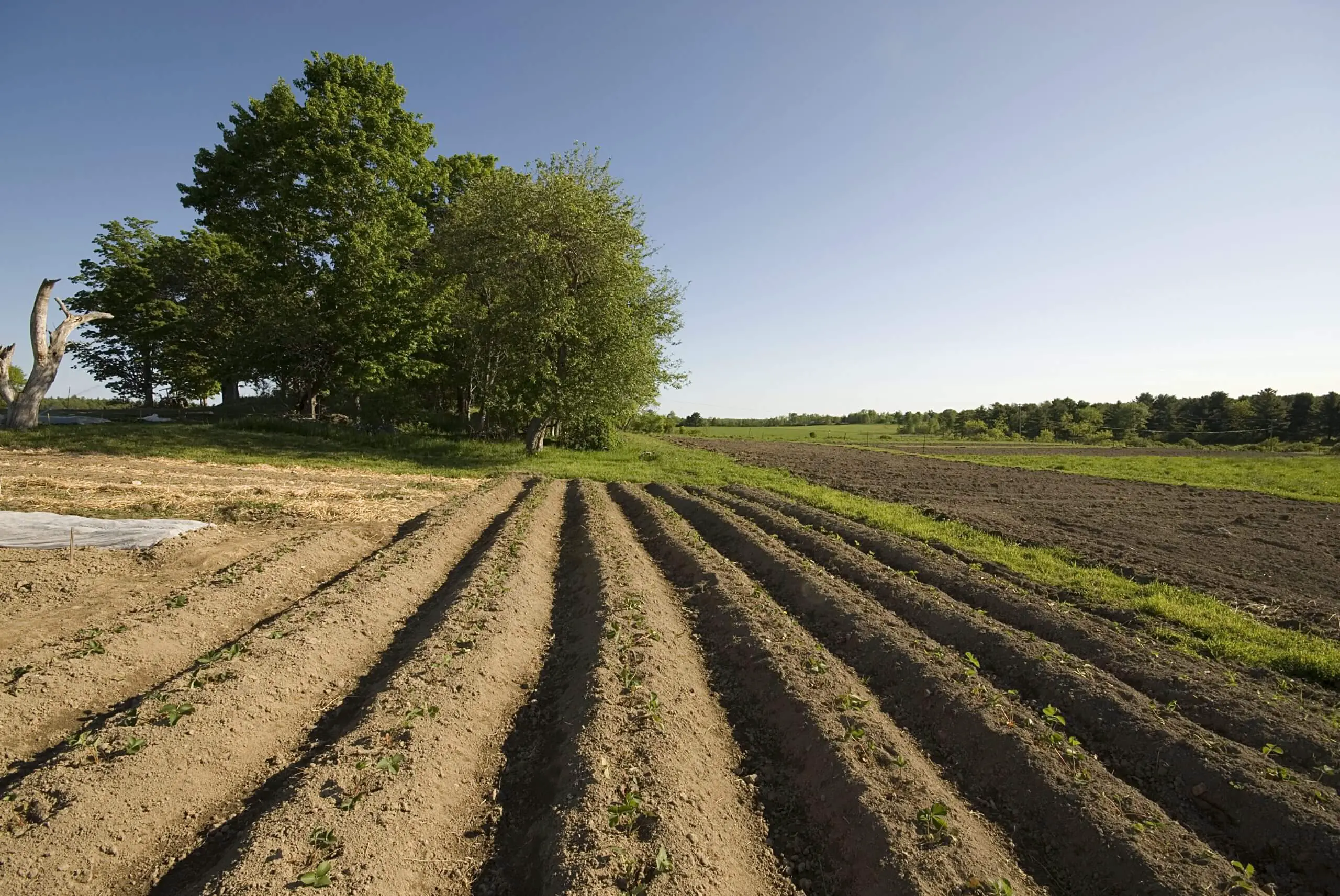 Action Alert: Protect Important Agricultural Soils from Solar Energy ...