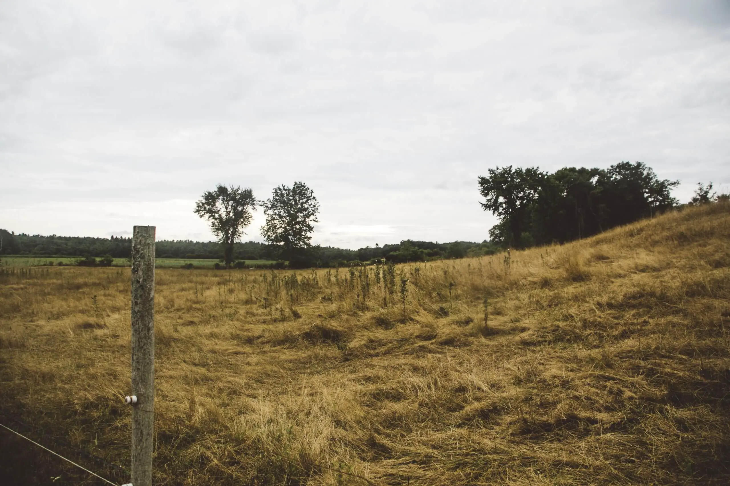 Action Alert: 2 opportunities to support farmers impacted by PFAS ...