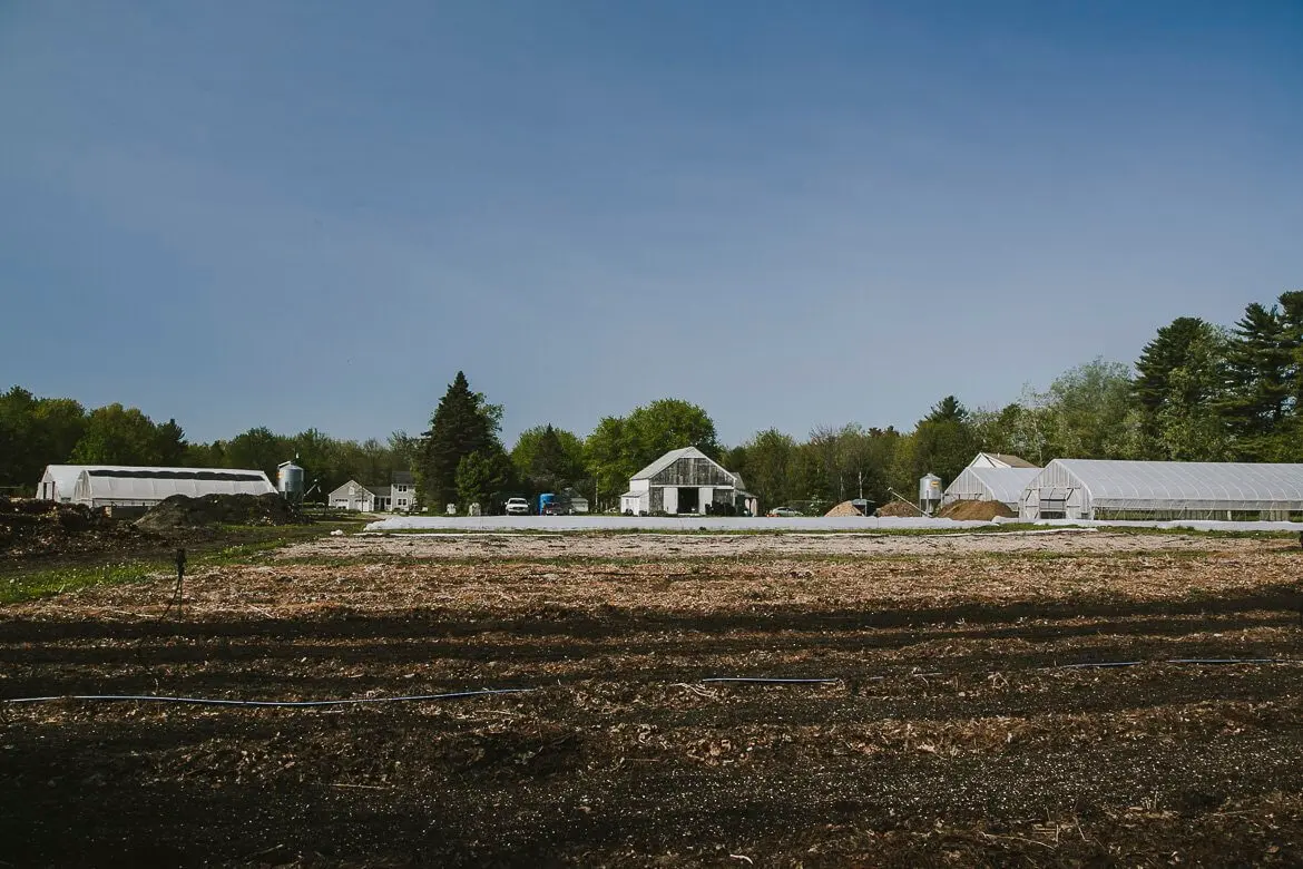 How Farmers Cultivate Healthy Soil