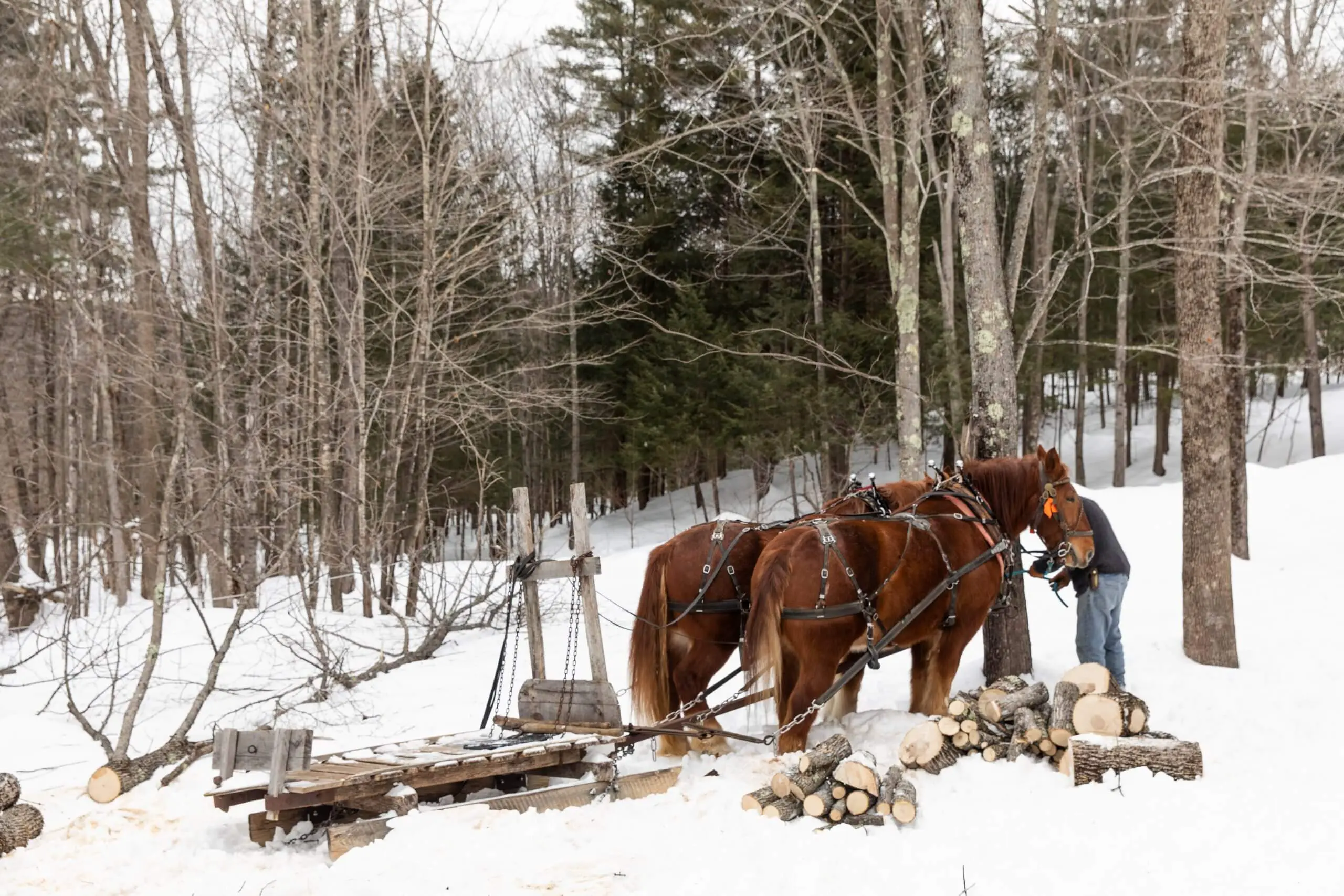 Storing Carbon in the Winter Garden: Maine Farms 2019