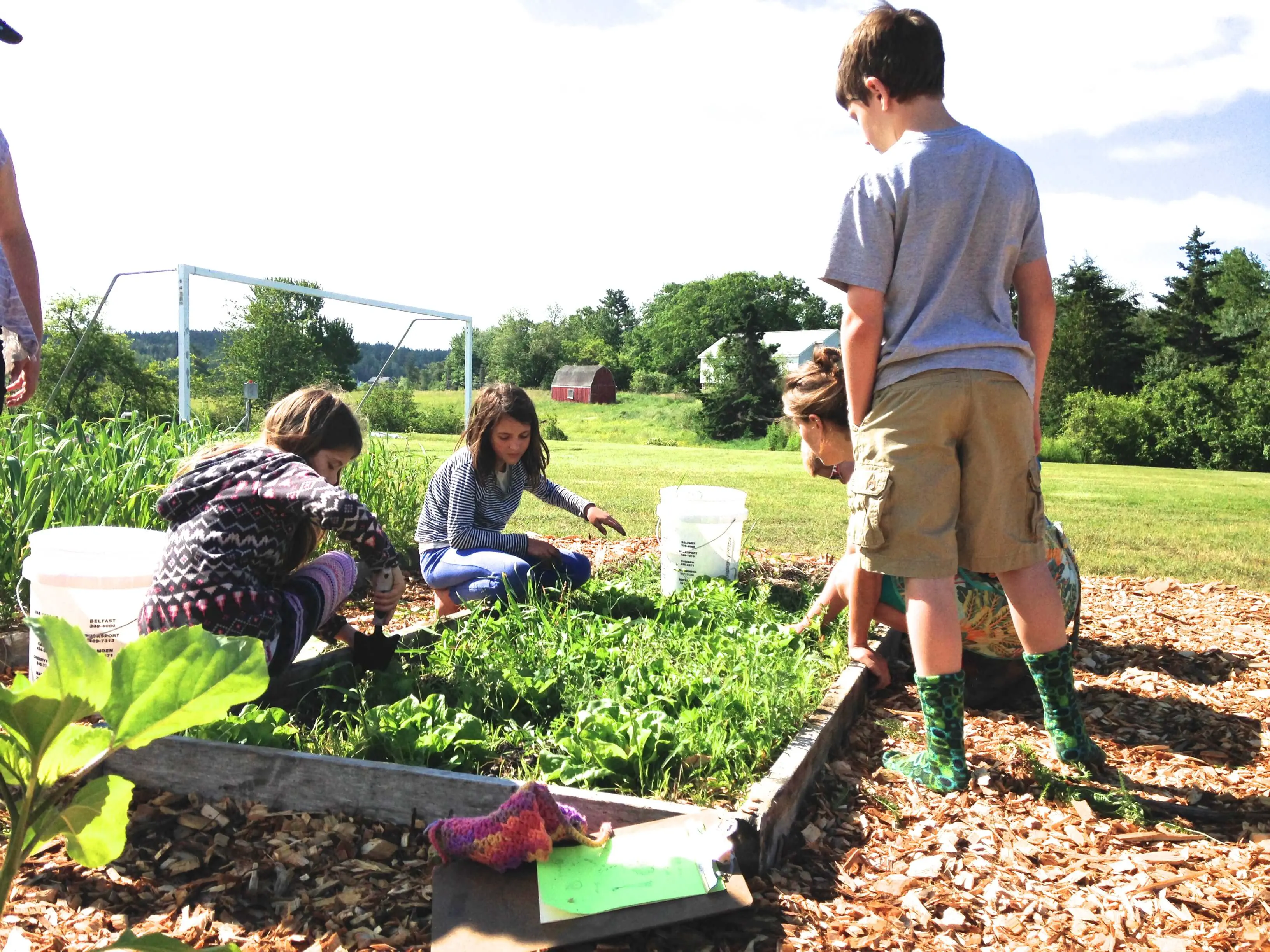Maine Farmland Trust Awards Blue Hill Peninsula Grants