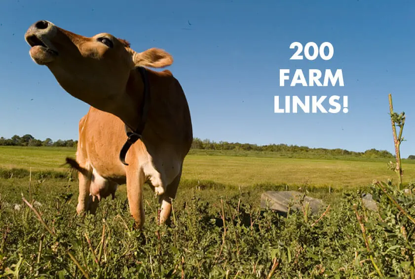 MFT hits 200 FarmLinks!