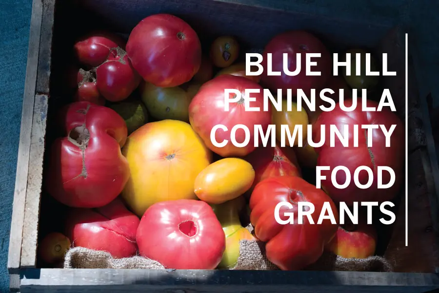 Grants available for community food projects on the Blue Hill Peninsula