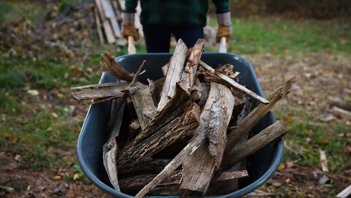 20th Anniversary: Member Voices