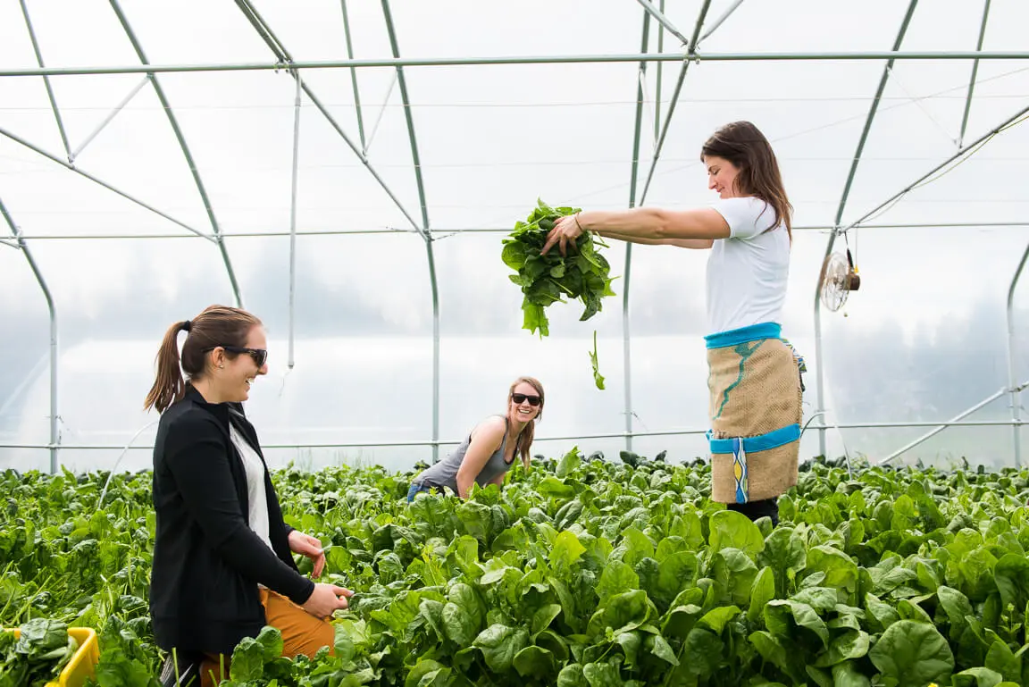 Explore Maine Farms - Maine Farmland Trust