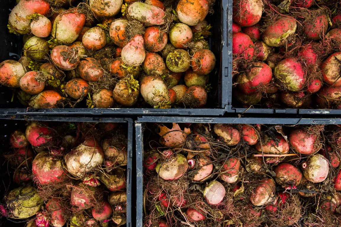 Explore Maine Farms - Maine Farmland Trust