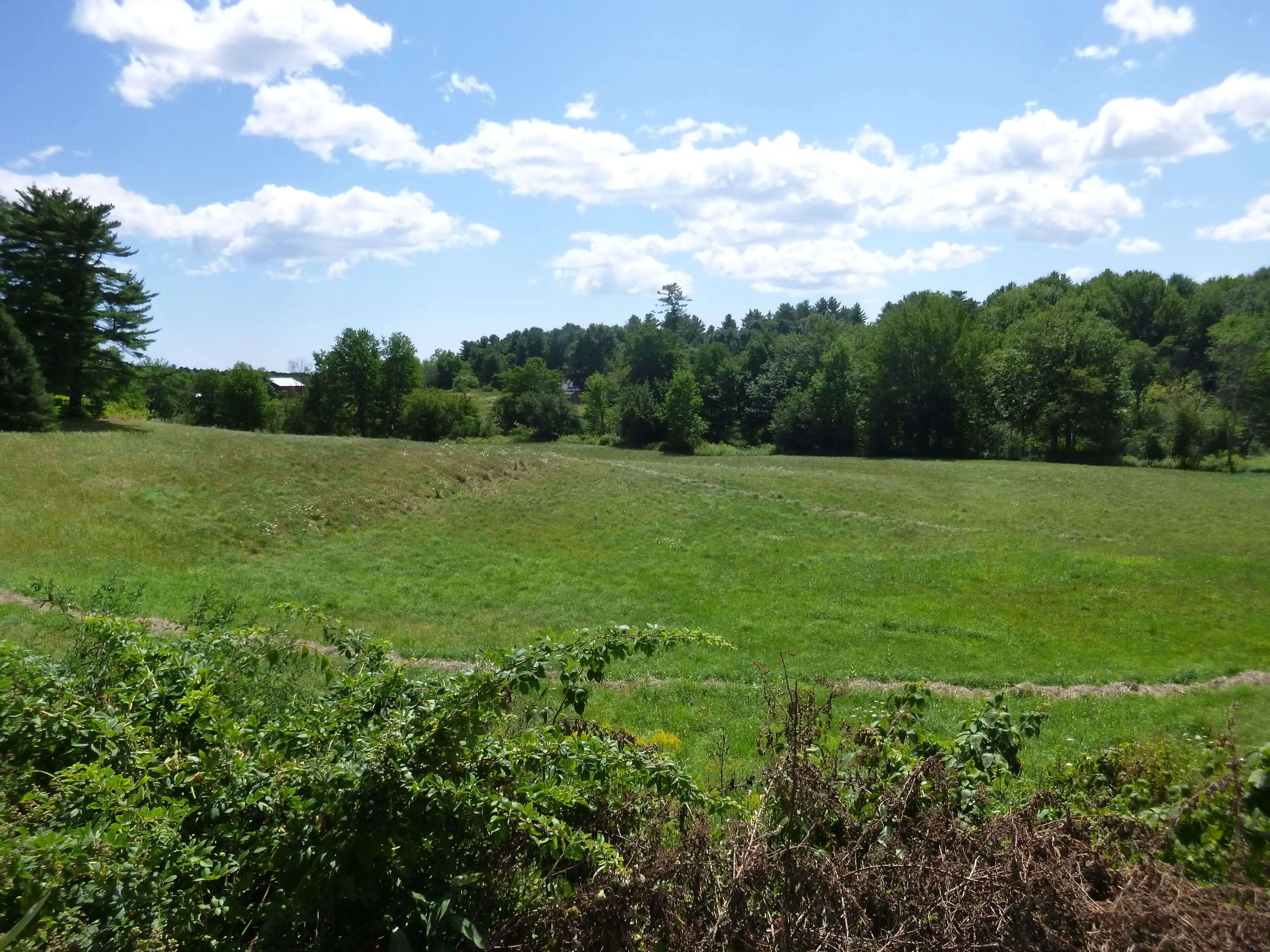 Historic 100-acre farm protected for future generations