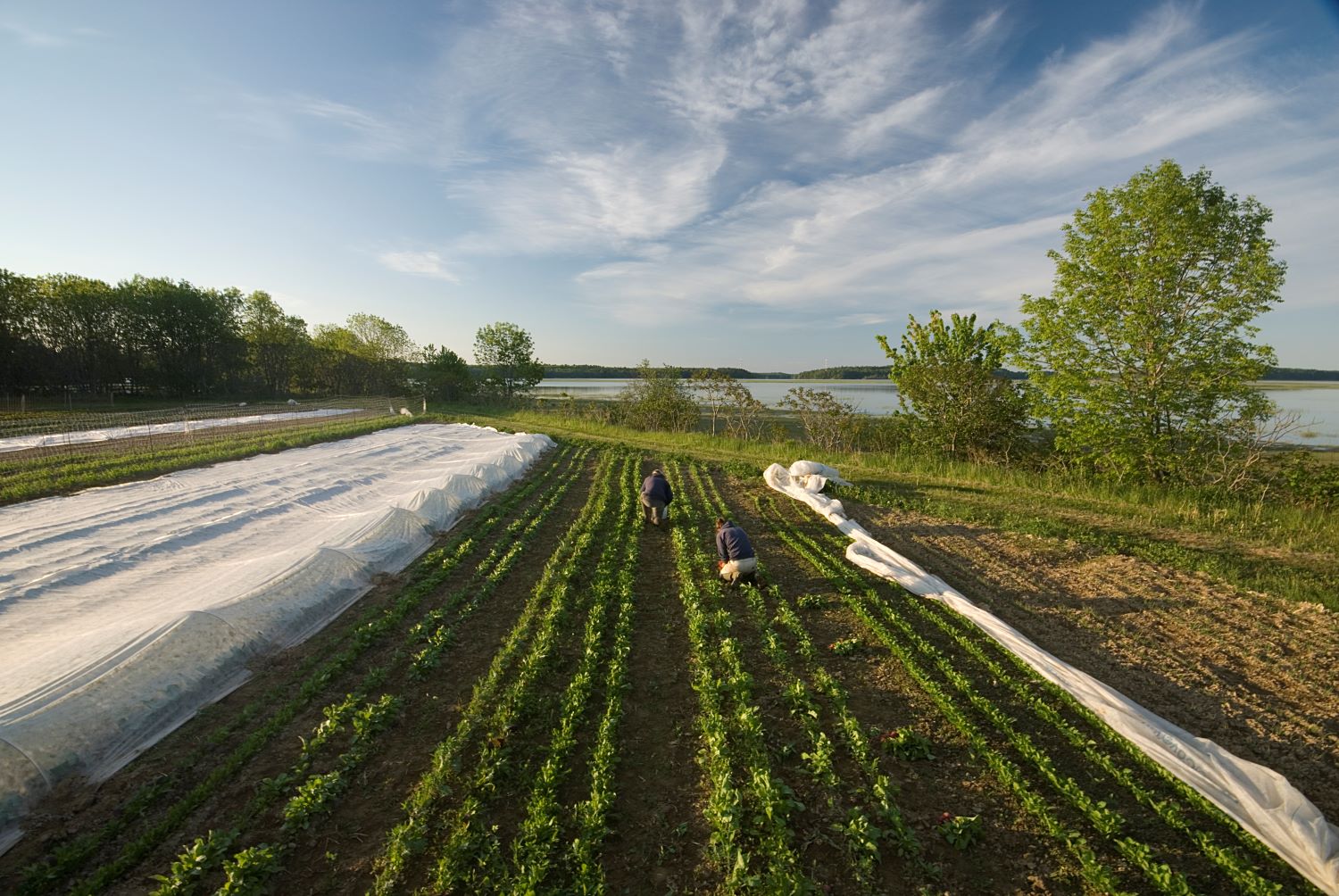 Announcing our expanded Climate Resilience Program!