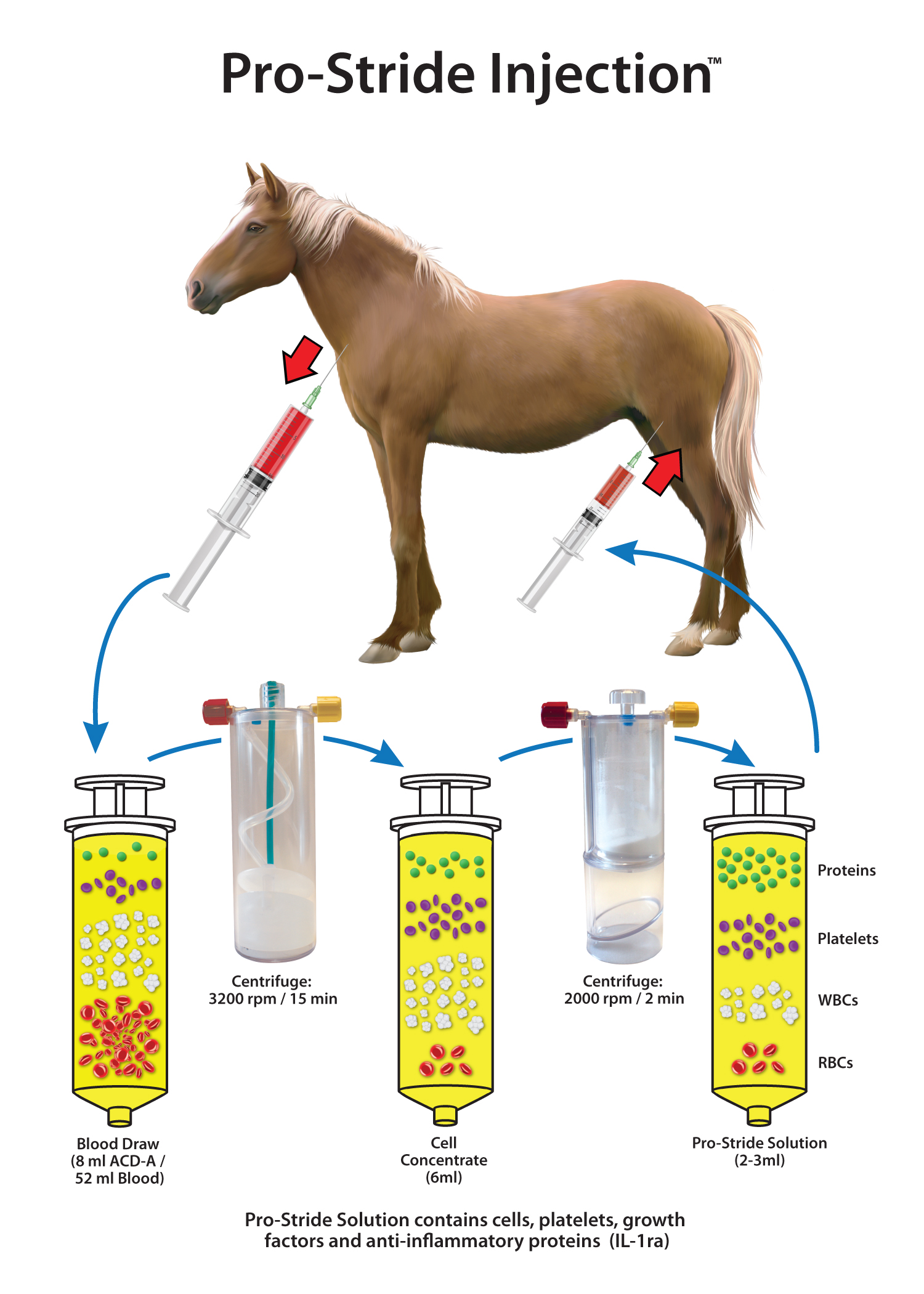 Natural Pain Relief with Pro-Stride Injections for Horses in Newnan, GA ...